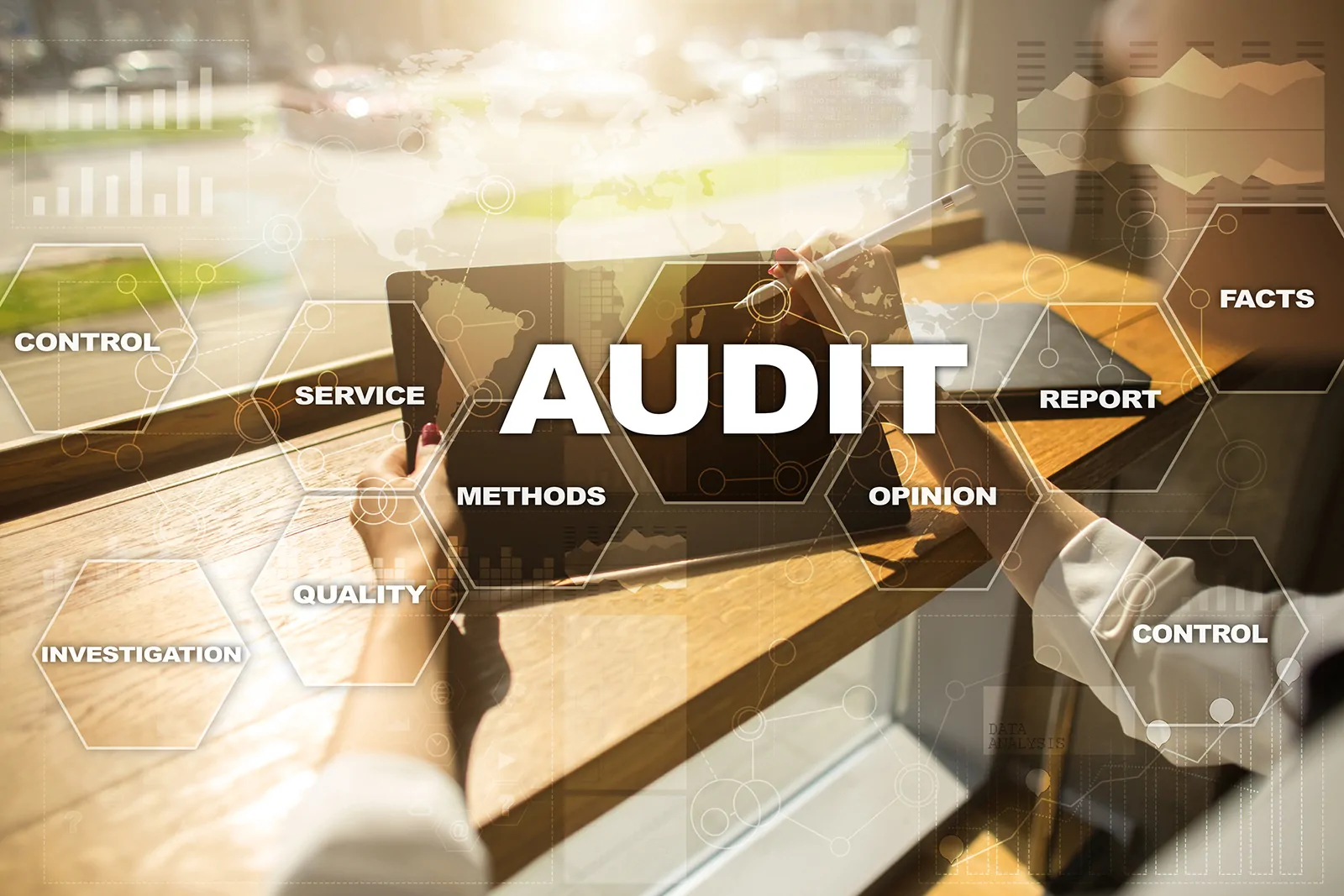 Management Audit: Concept and Scope - STUNITED