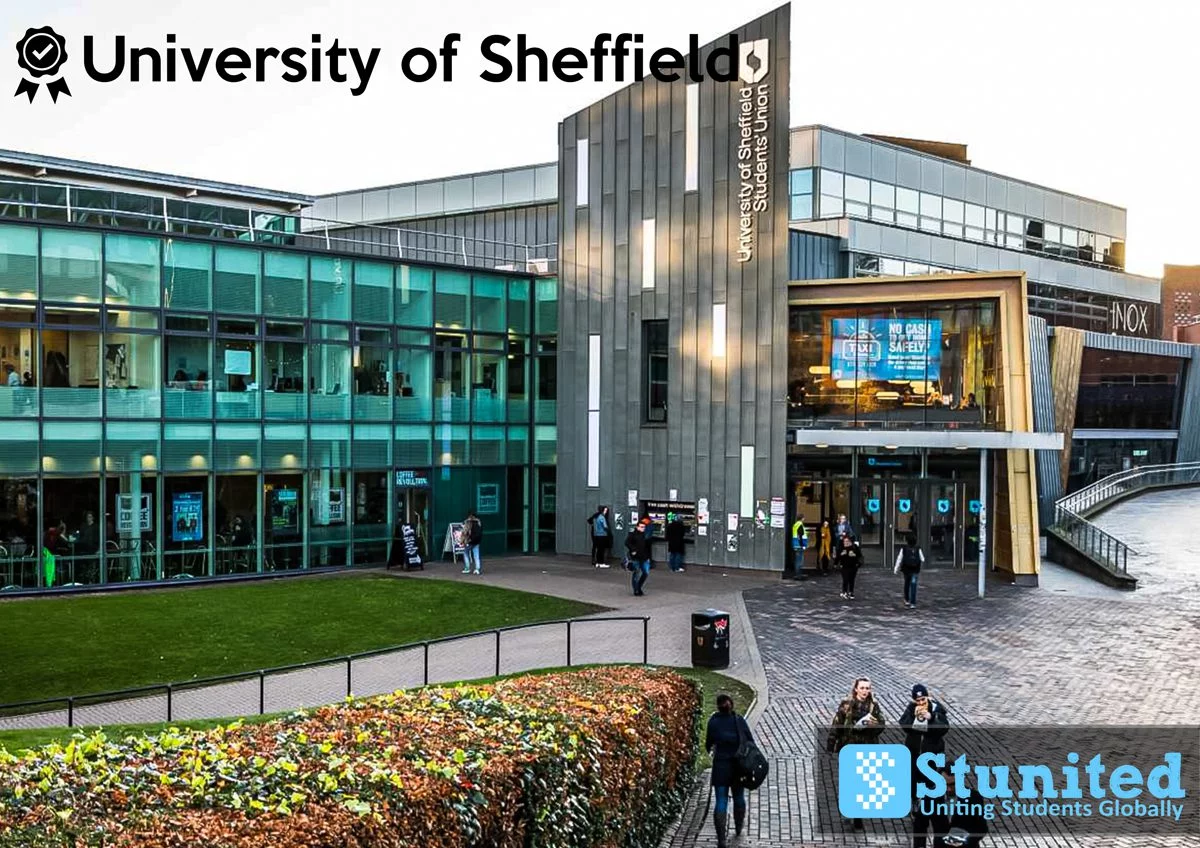 Placements in Sheffield, UK | +44 7412470170 - STUNITED